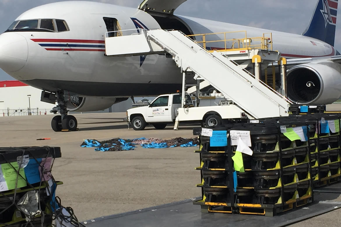 Allied Line Logistics